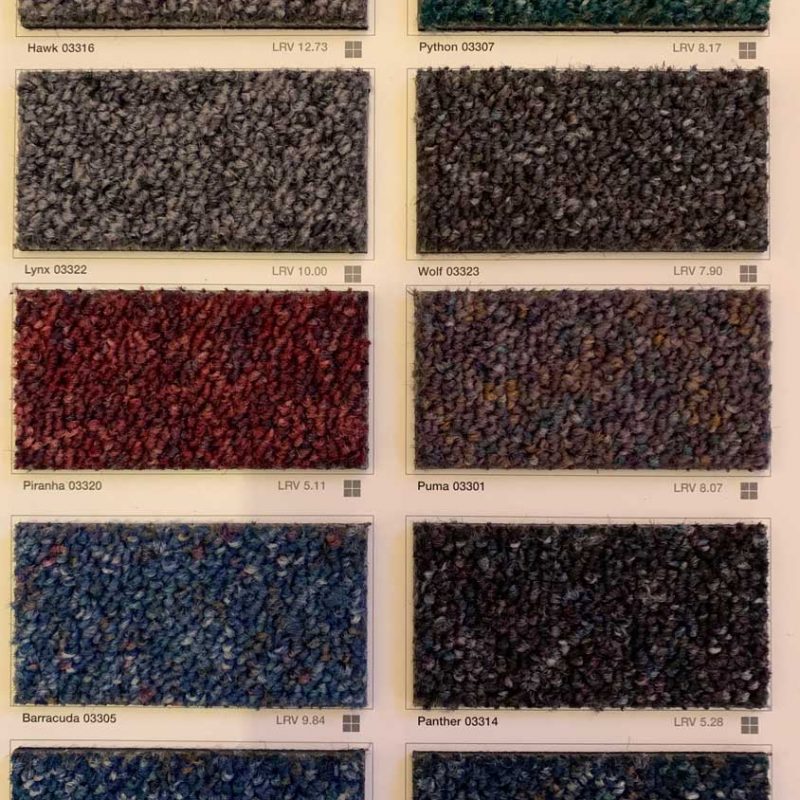 Gradus Predator Carpet Tiles | Commercial Carpet Tiles | That Carpet ...